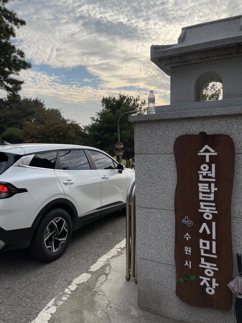 텐트 설치 취식 가능한 복합문화공간 경기상상캠퍼스 수원탑동시민농장 피크닉 후기 네이버 블로그