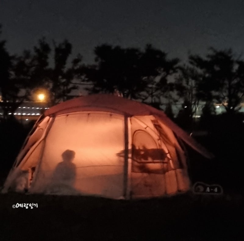 부산 근교 캠핑 대저캠핑장 A04 사이트 노스피크 옐로우스톤 301st 네이버 블로그