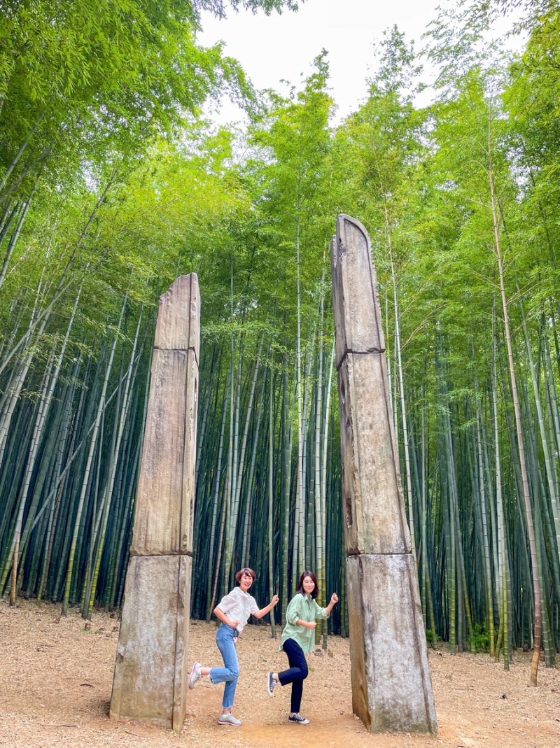 부산 기장 대나무숲 아홉산숲 가을 산책로 추천 네이버 블로그
