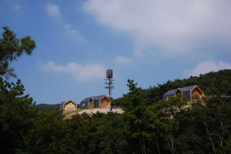 네이버 인플루언서