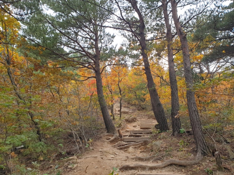금강산 화암사숲길 등산코스 수바위~신선대~성인대~화암사 강원도 고성의 울산바위 전망대 네이버 블로그