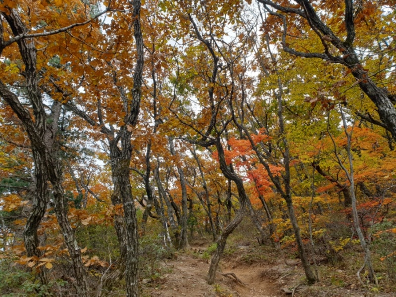 금강산 화암사숲길 등산코스 수바위~신선대~성인대~화암사 강원도 고성의 울산바위 전망대 네이버 블로그