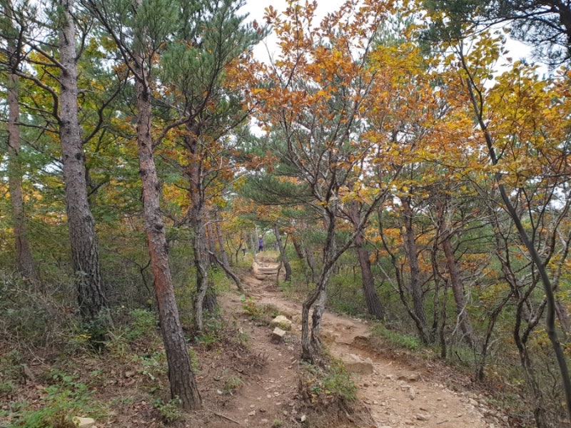 금강산 화암사숲길 등산코스 수바위~신선대~성인대~화암사 강원도 고성의 울산바위 전망대 네이버 블로그