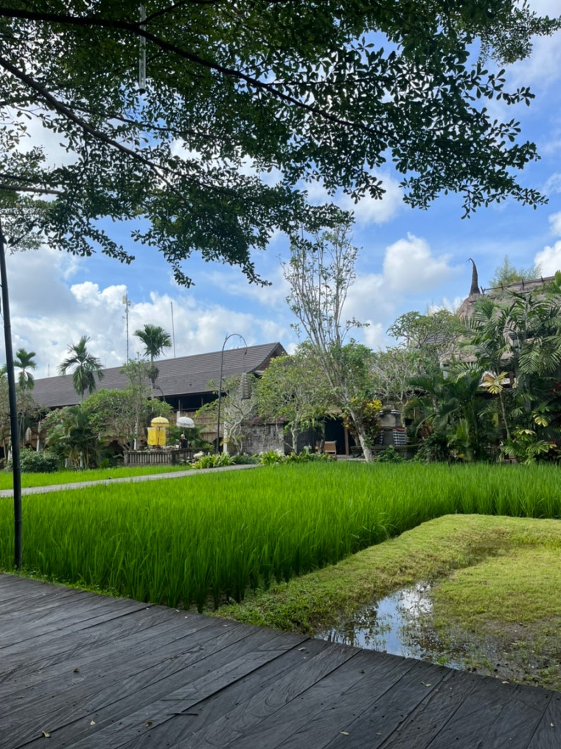 발리 우붓 맛집 "피손 우붓(Pison Ubud)" 메뉴 추천! : 네이버 블로그