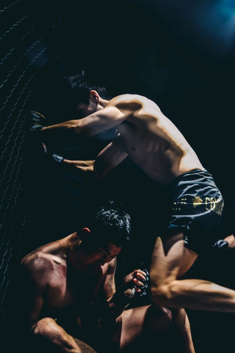큐브 Mma 블랙컴뱃 챔피언스리그 개막전 승리 하남종합격투기큐브 Mma 하남수업 스케치 복싱 유도 주짓수