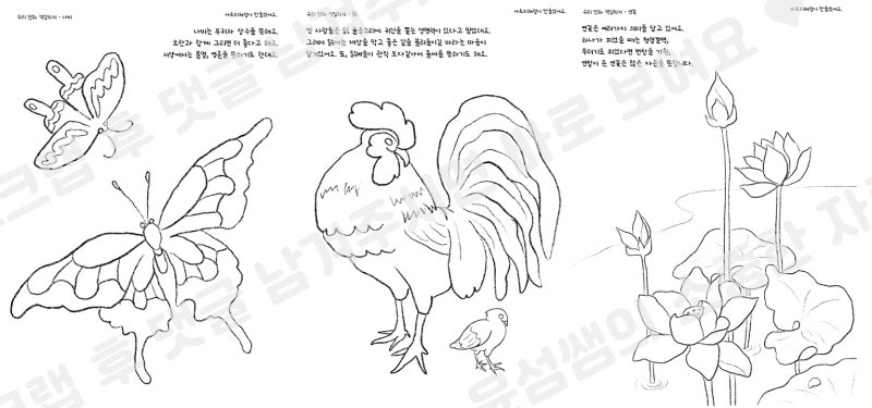 윤성쌤 어른 색칠 공부 도안 무료 나눔 10월 활동지 민화 컬러링 네이버 블로그