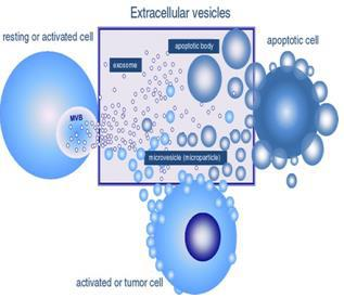 CytoFLEX : 네이버 블로그