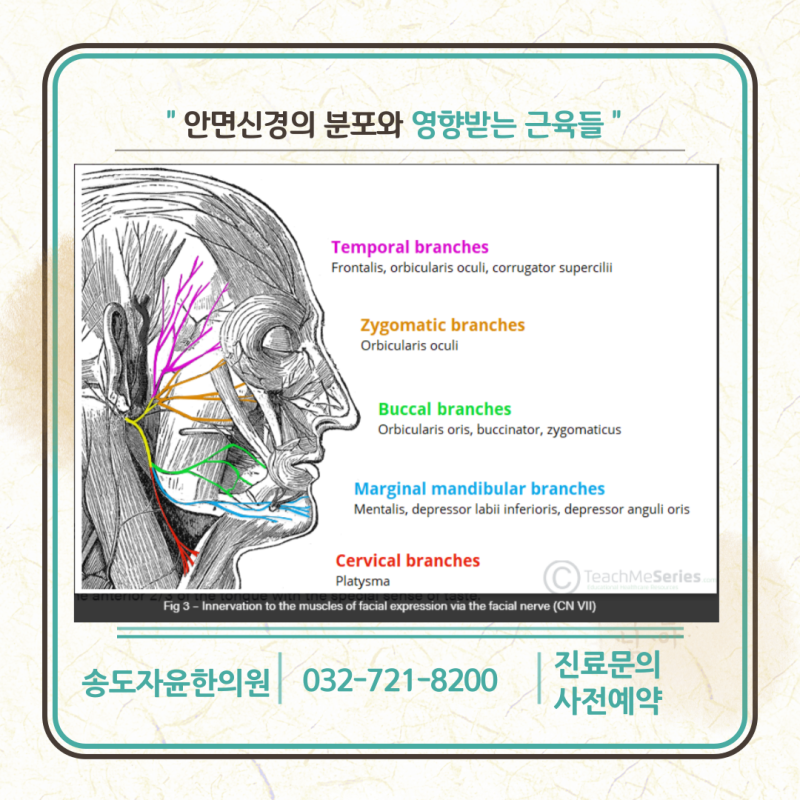 안면마비구안와사 한약침뜸재활치료 실비보험적용 원인 증상 중풍 구별팁 한방치료법 By인천송도 자윤한의원 네이버 블로그