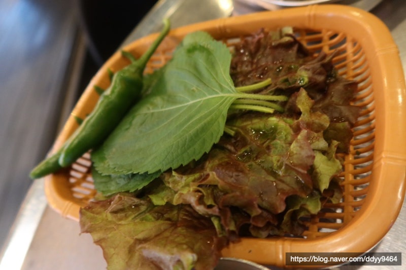 송파 파크하비오 삼겹살 섬 맛의공방 제주이야기 콜키지프리 고기집 네이버 블로그