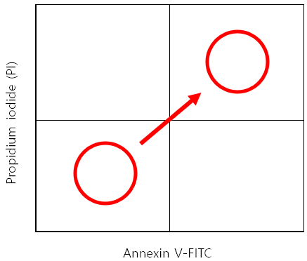 CytoFLEX : 네이버 블로그