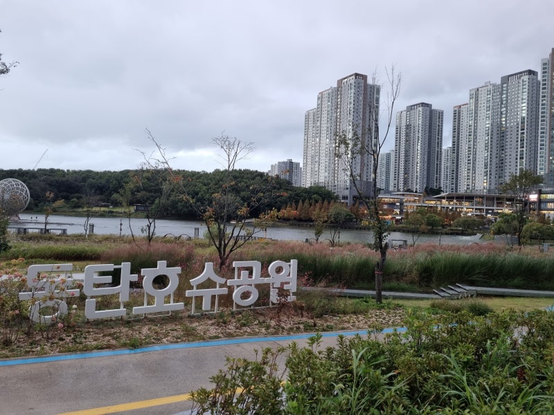 동탄 아이와 가볼만한곳 놀거리 많은 비오는날 실내데이트하기 좋은 동탄 라크몽 네이버 블로그