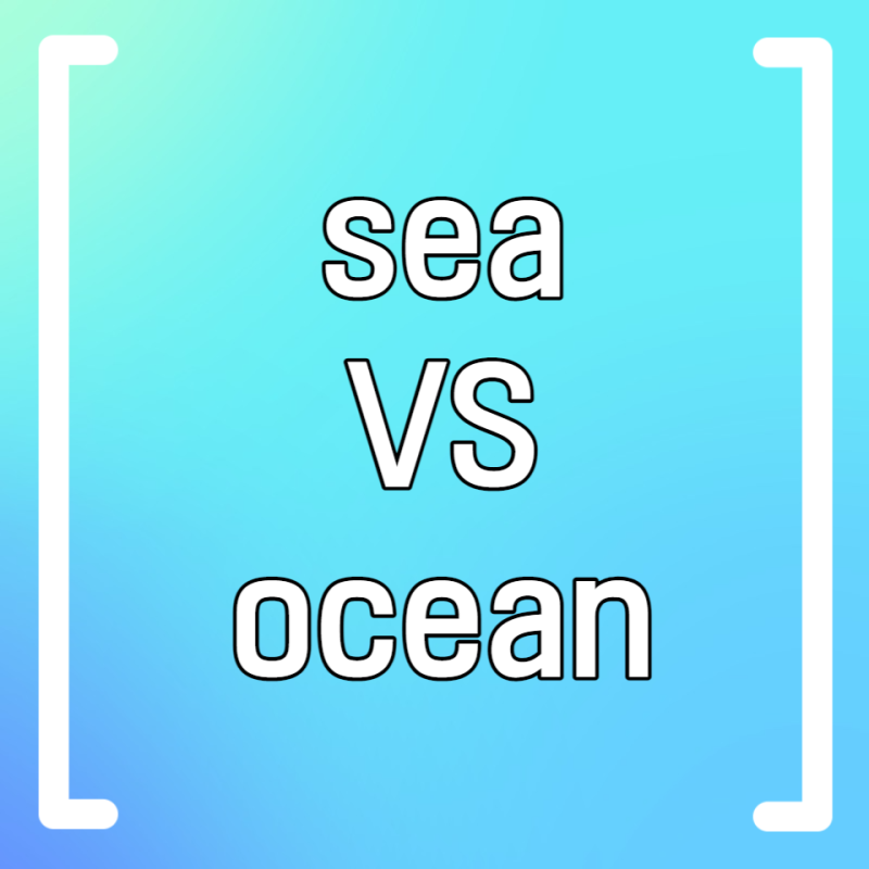 바다 영어로 sea, ocean, marine, bay, beach, coast, shore 차이 : 네이버 블로그