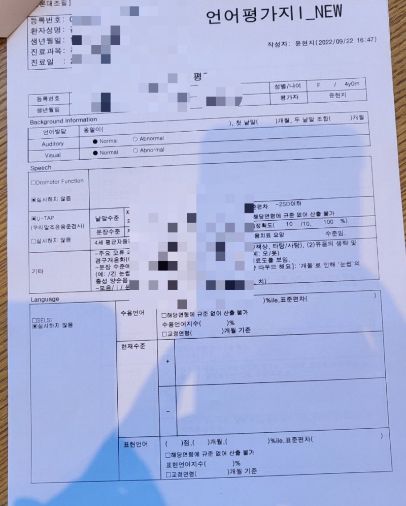 푸르메병원 언어평가 조음장애 우리말조음음운검사 결과 네이버 블로그