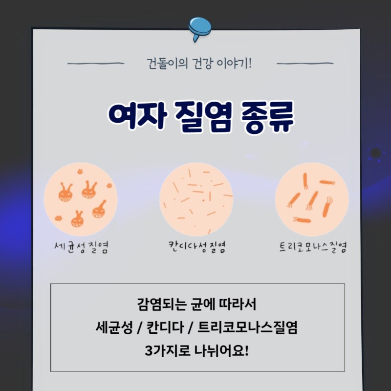 여자 질염 종류 And 질염증상 특징과 질염약 체크 네이버 블로그