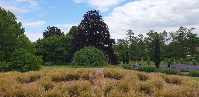 [케임브리지 대학교 세미나 요약 by Institute Jacques Monod] Epigenetics와 유전체 동역학 ...