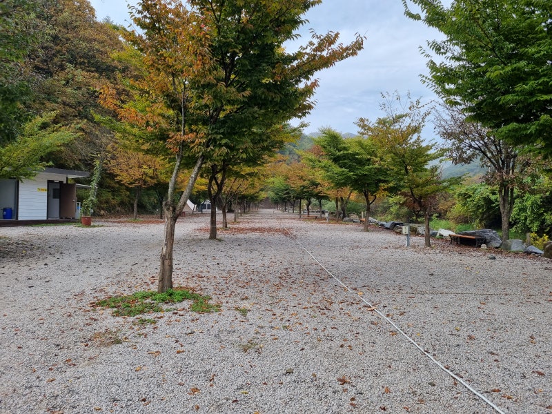 포천 담터금학캠핑장 추천 장단점 솔직 후기 네이버 블로그