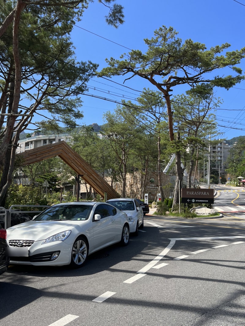 파라스파라 서울 팀버스위트 호캉스 숙박 후기🌲 네이버 블로그