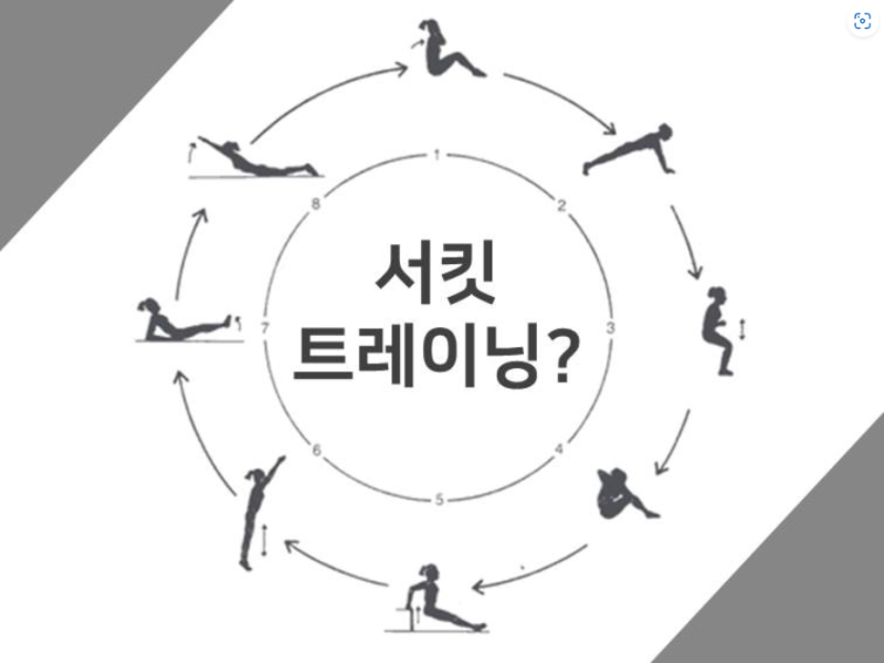 서킷 트레이닝 문승용tr 네이버 블로그