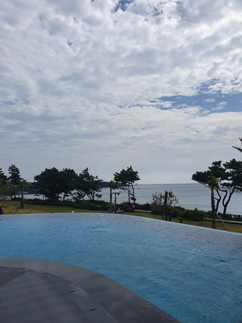 파르나스 호텔 제주 수영장 인피니티 풀 후기 110m 👙 ️ - 제주도(6) : 네이버 블로그