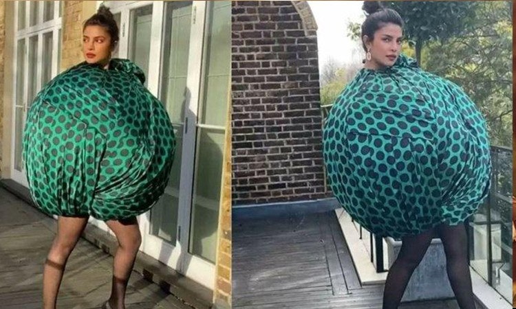 deny 어원, 뜻, 의미 / 겐세이 gainsay, disown과 차이, 비교 : 네이버 블로그