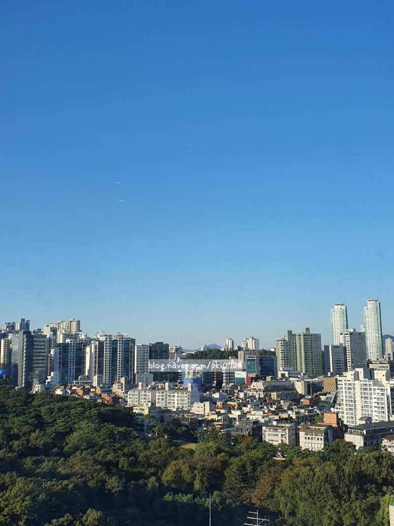 서울 역삼 하나이비인후과 비중격만곡증하비갑개절제술 수술 후기1 입원준비~수술당일 네이버 블로그