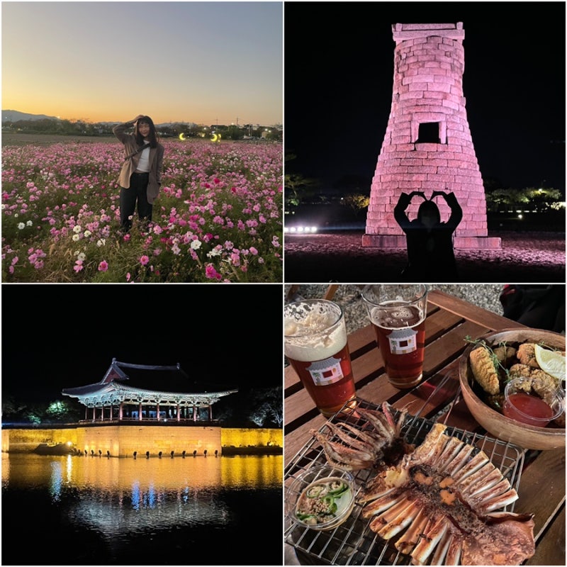 1박2일 10월의 경주 여행 1일차 밤 분황사코스모스야간첨성대동궁과월지황남주택 네이버 블로그