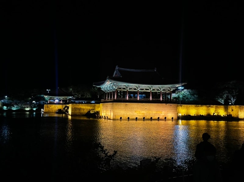 1박2일 10월의 경주 여행 1일차 밤 분황사코스모스야간첨성대동궁과월지황남주택 네이버 블로그