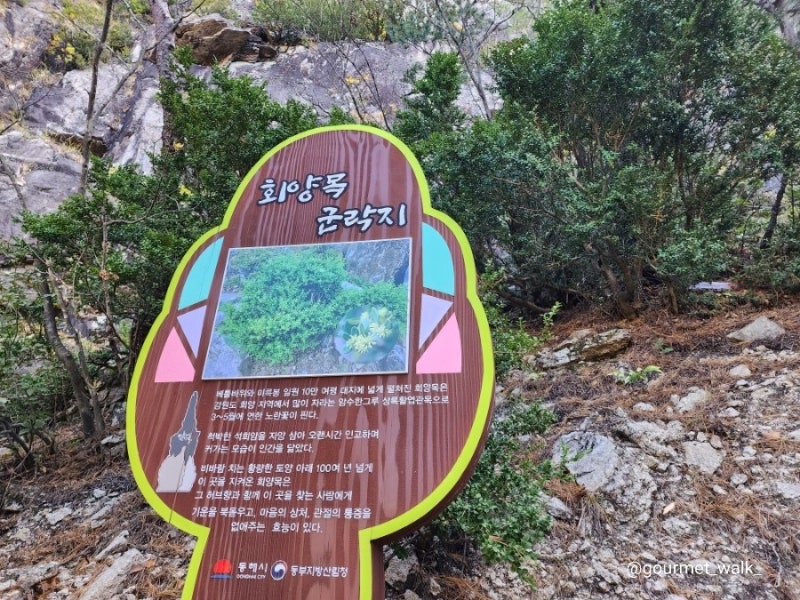 강원 동해 두타산 산행 And 무릉계곡 추천 코스 등 총정리 아침식사 입장료 주차료 숙소 추천 네이버 블로그