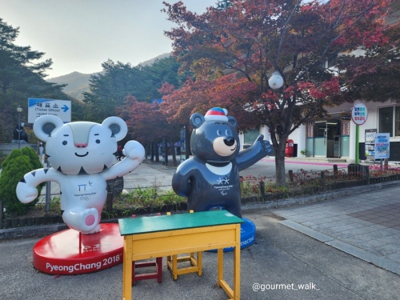강원 동해 두타산 산행 And 무릉계곡 추천 코스 등 총정리 아침식사 입장료 주차료 숙소 추천 네이버 블로그