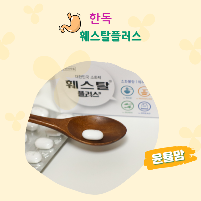 훼스탈 플러스 소화제 알아보기 네이버 블로그