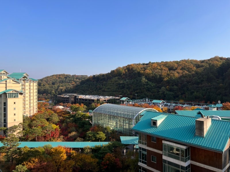 외곽가볼만한곳 │ 1박2일 곤지암리조트 느티나무 Bbqand루지360and화담숲 나들이 예약팁 네이버 블로그