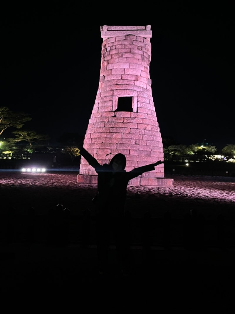 1박2일 10월의 경주 여행 1일차 밤 분황사코스모스야간첨성대동궁과월지황남주택 네이버 블로그