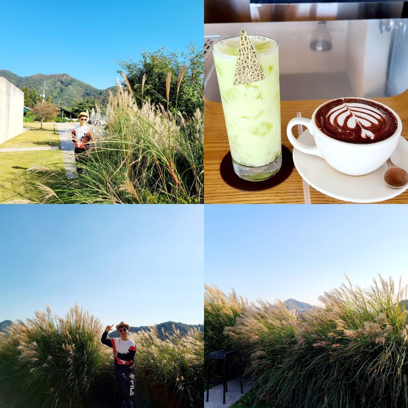 담양 카페 담양 호시담 전남 드라이브 코스 광주 근교 야외 데이트 : 네이버 블로그