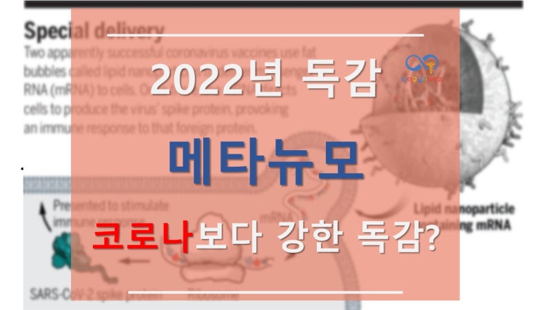 닥터 구goo원장이 알려주는 메타뉴모metaneumovirus와 영유아 폐렴 2022년 독감유행 네이버 블로그