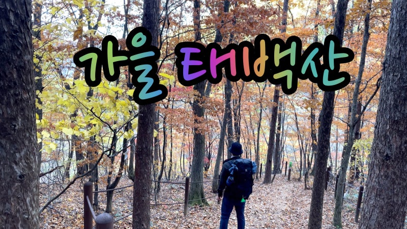 등산로그 깊어가는 가을의 태백산 유일사 천제단 문수봉 당골 코스 네이버 블로그