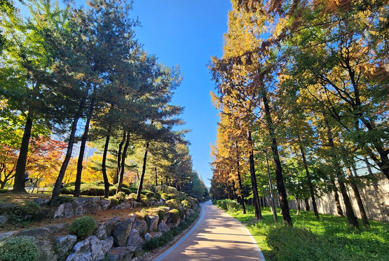서울 걷기 산책하기 좋은 곳 강서구 공암나루근린공원 가을 단풍길구암공원 네이버 블로그