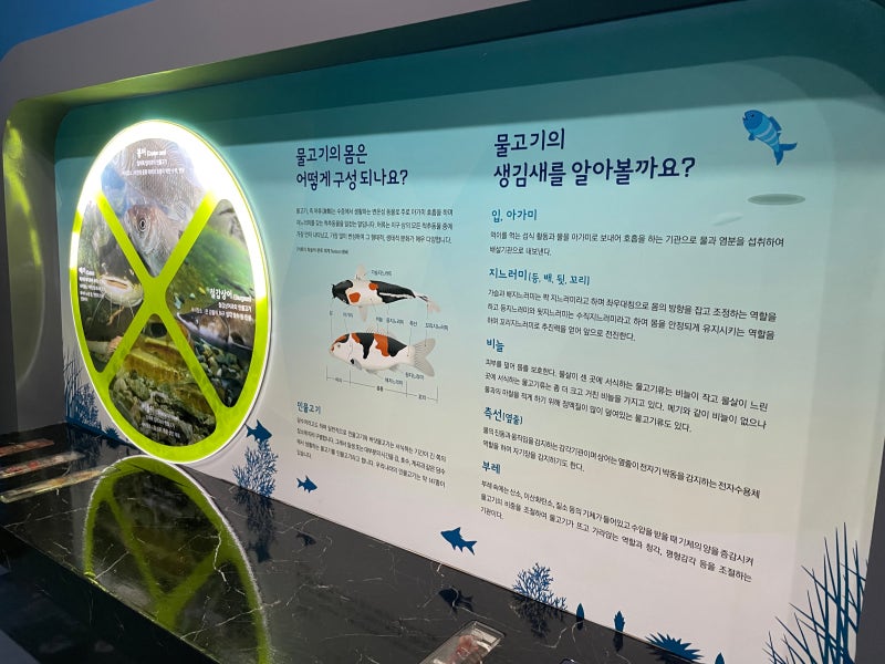 경남여행 고성 생태학습관 아이랑 갈만한 곳 네이버 블로그