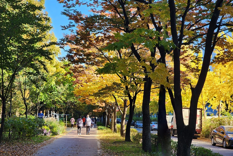 서울 걷기 산책하기 좋은 곳 강서구 공암나루근린공원 가을 단풍길구암공원 네이버 블로그