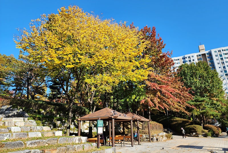 서울 걷기 산책하기 좋은 곳 강서구 공암나루근린공원 가을 단풍길구암공원 네이버 블로그
