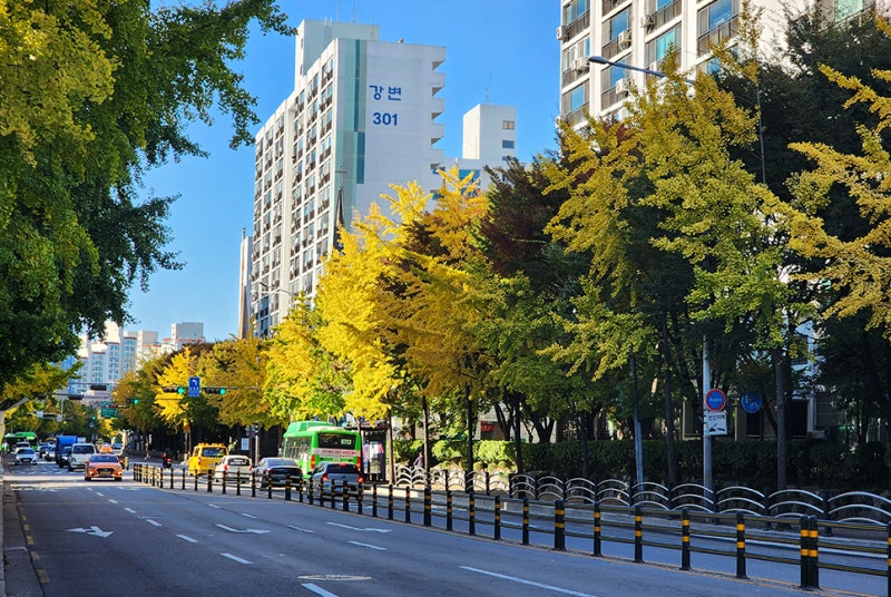 서울 걷기 산책하기 좋은 곳 강서구 공암나루근린공원 가을 단풍길구암공원 네이버 블로그