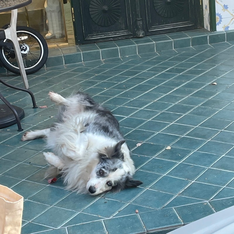 고양 밤리단 보넷길 이색데이트 추천 : 네이버 블로그