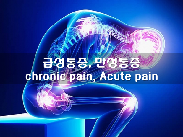 울트라셋세미정 마약성진통제급성통증만성통증 복용법금기 및 주의사항부작용이상반응 네이버 블로그