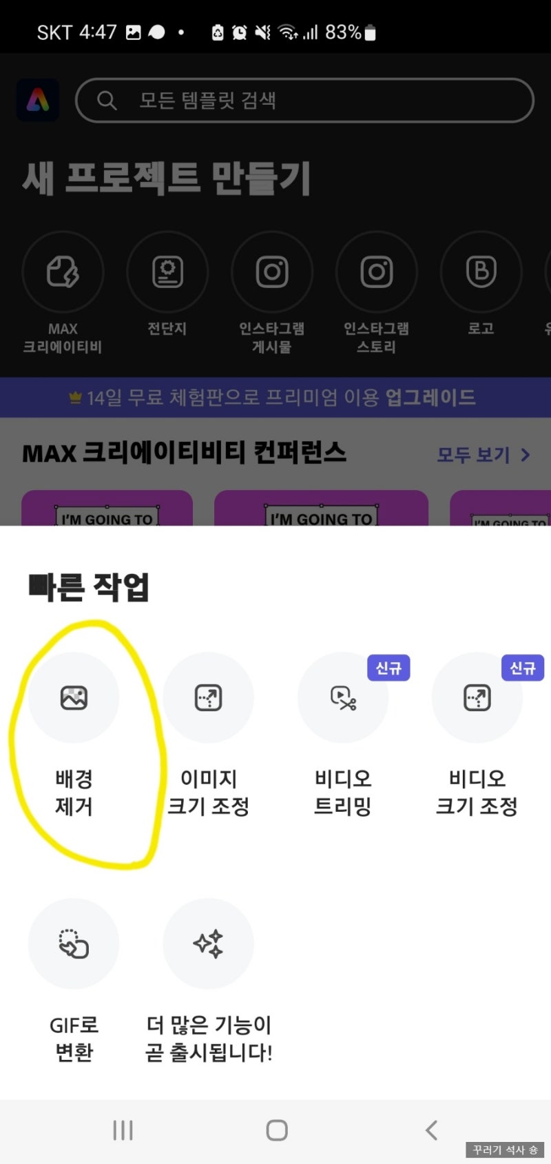 무료 어플 이용해서 쉽게 셀프 여권사진 제작하는 법 여권사진 규격규정 셀프 여권사진 찍기 사진 배경제거 증명사진 어플