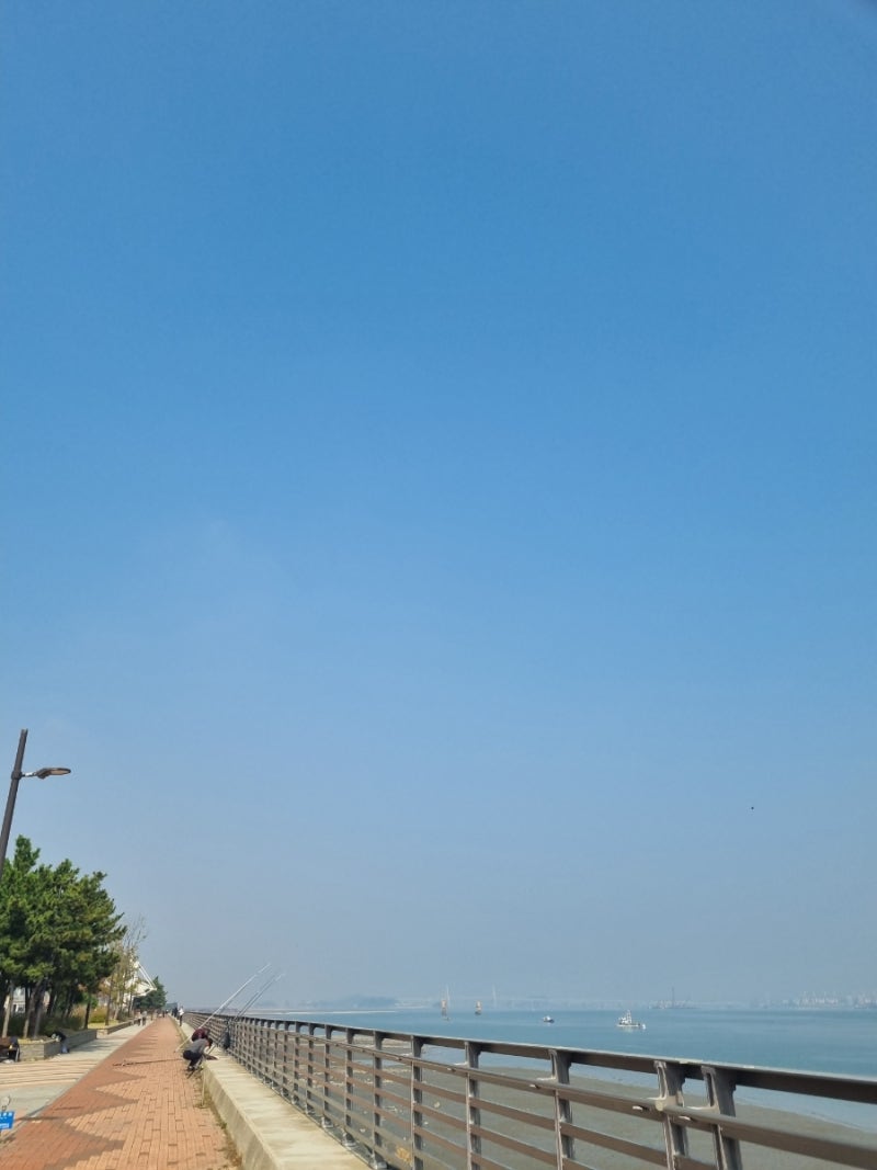 서해사람의 영종도 당일치기 🏝 바다앞꼬막집 성수미술관 영종도점 오션뷰카페 카페온화 네이버 블로그