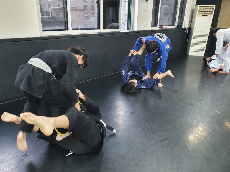 신림 주짓수 Mma 복싱 킥복싱 배울 수 있는 곳 네이버 블로그