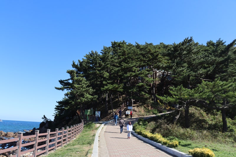 고성高城 이승만 별장·이기붕 별장·김일성 별장·응봉 탐방 네이버 블로그