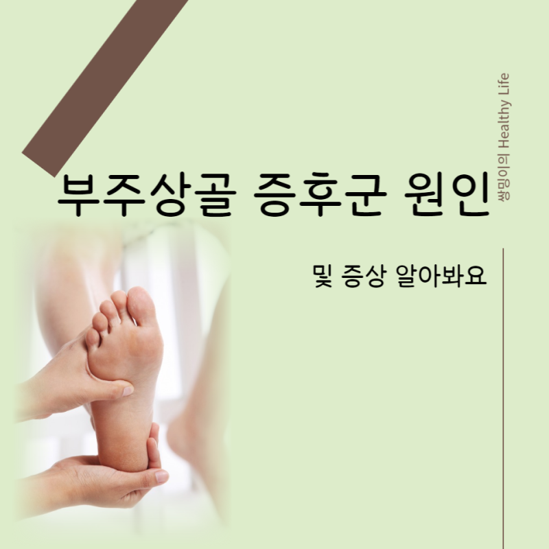 부주상골 증후군 원인과 증상을 알아보고 관리해요 네이버 블로그