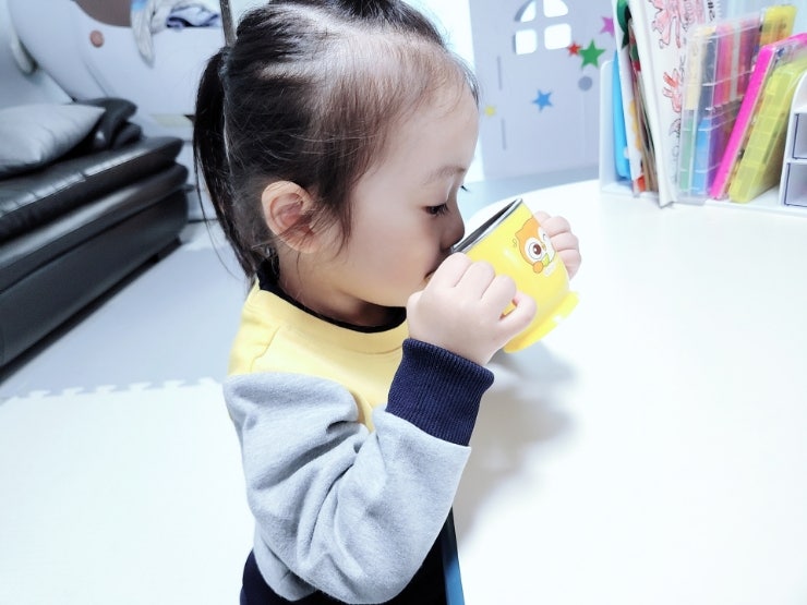 안국건강 코박사키즈와 코박사 엘더베리로 코건강과 어린이비염 관리해요 네이버 블로그