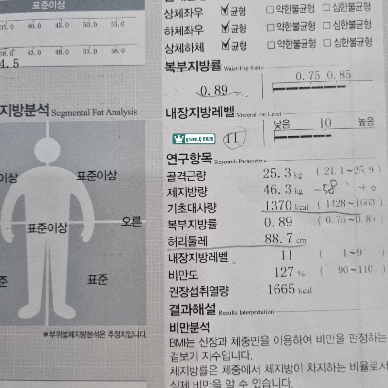 40대 여자 기초대사량 평균 근육량 늘리기 방법 5가지 인바디 검사 월 2회 적당 네이버 블로그