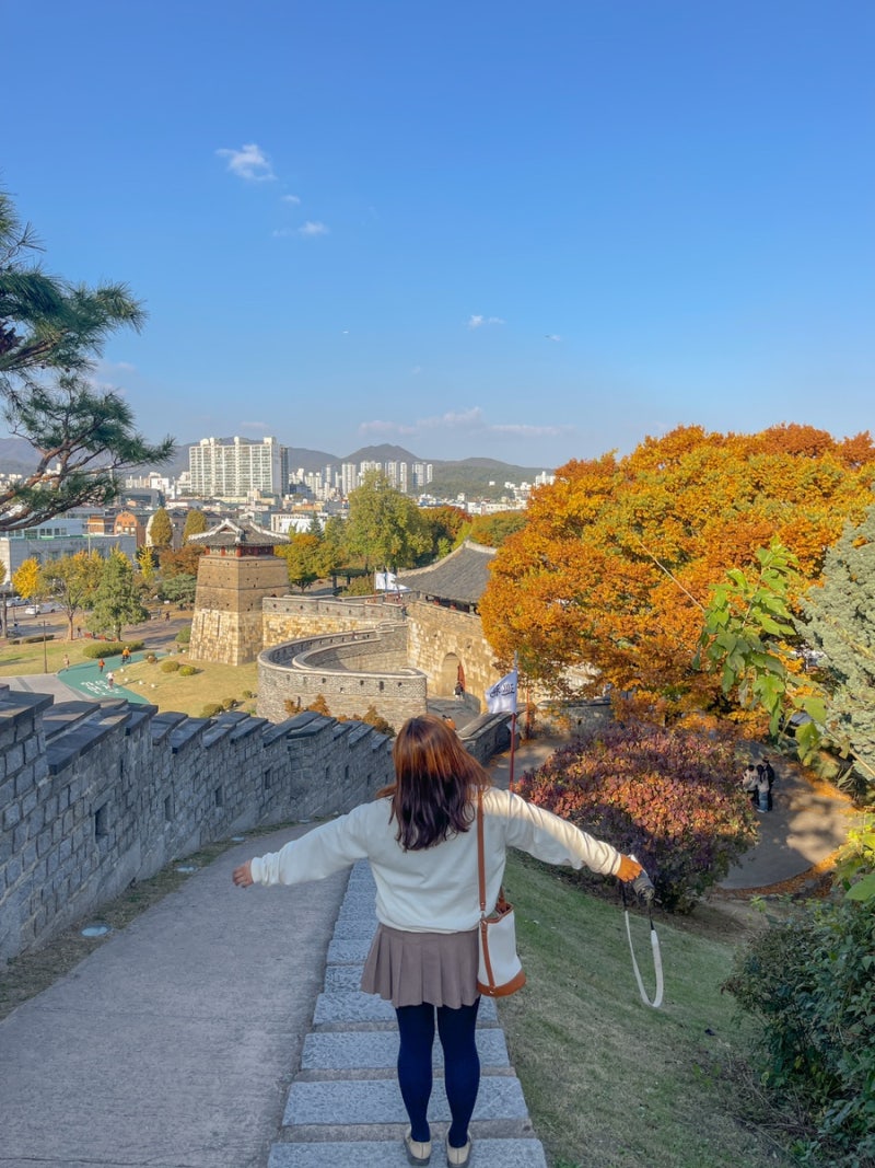 수원 가을 가볼만한 곳 둘레길 화성 성곽길 산성 산책 즐긴 화서공원 갈대 네이버 블로그